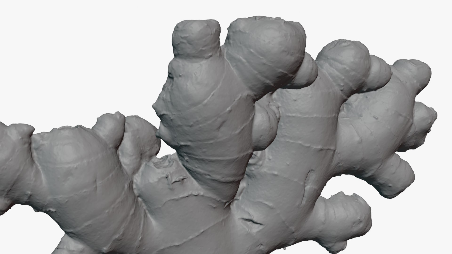 3D Model Big Ginger For 3D Print - TurboSquid 2428596