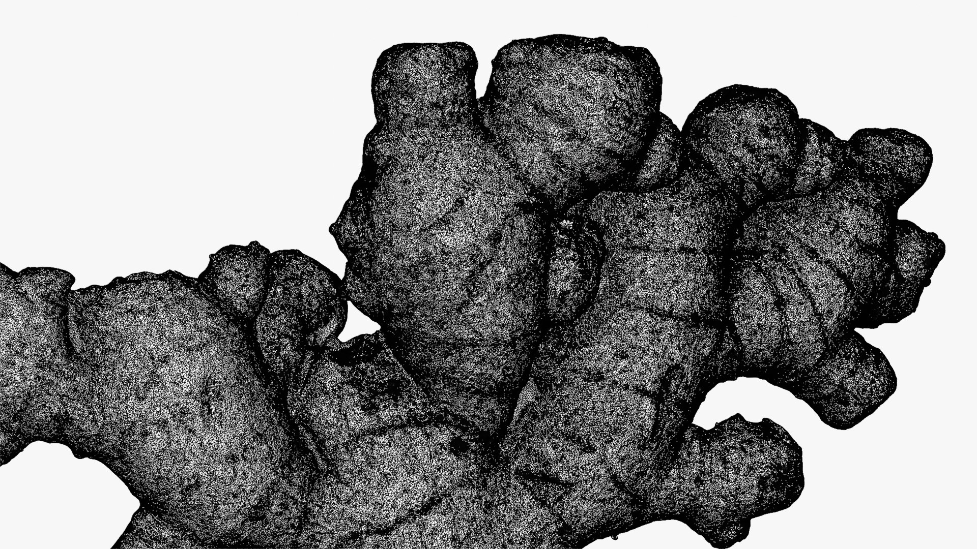 3D Model Big Ginger For 3D Print - TurboSquid 2428596