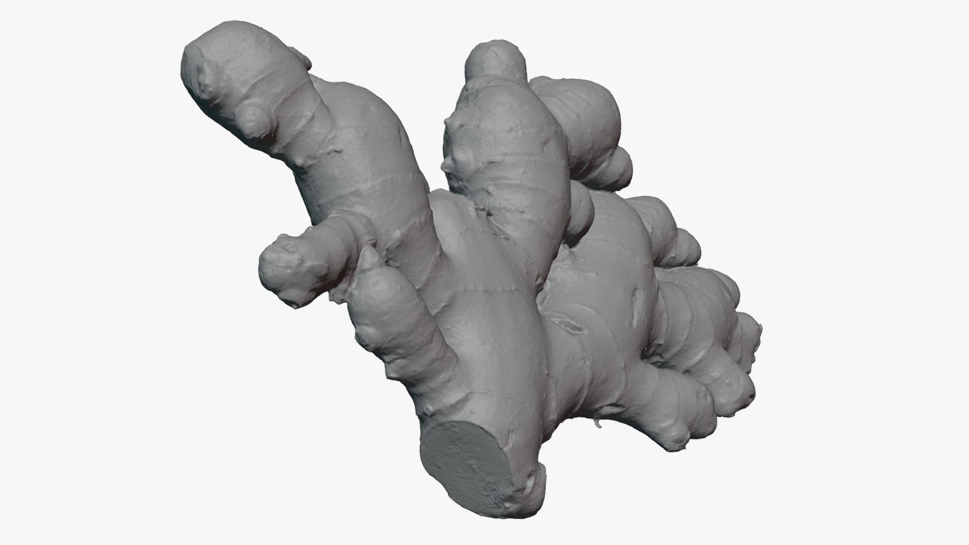 3D Model Big Ginger For 3D Print - TurboSquid 2428596
