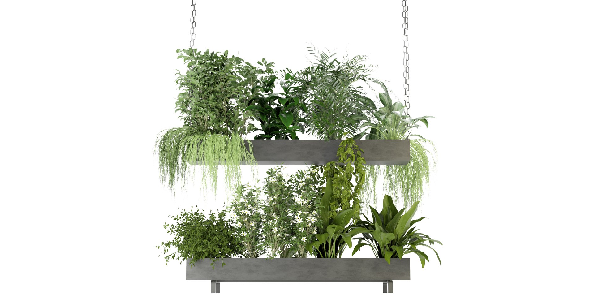 3D Collection Plant Vol 234 - Blender Model - TurboSquid 2087070