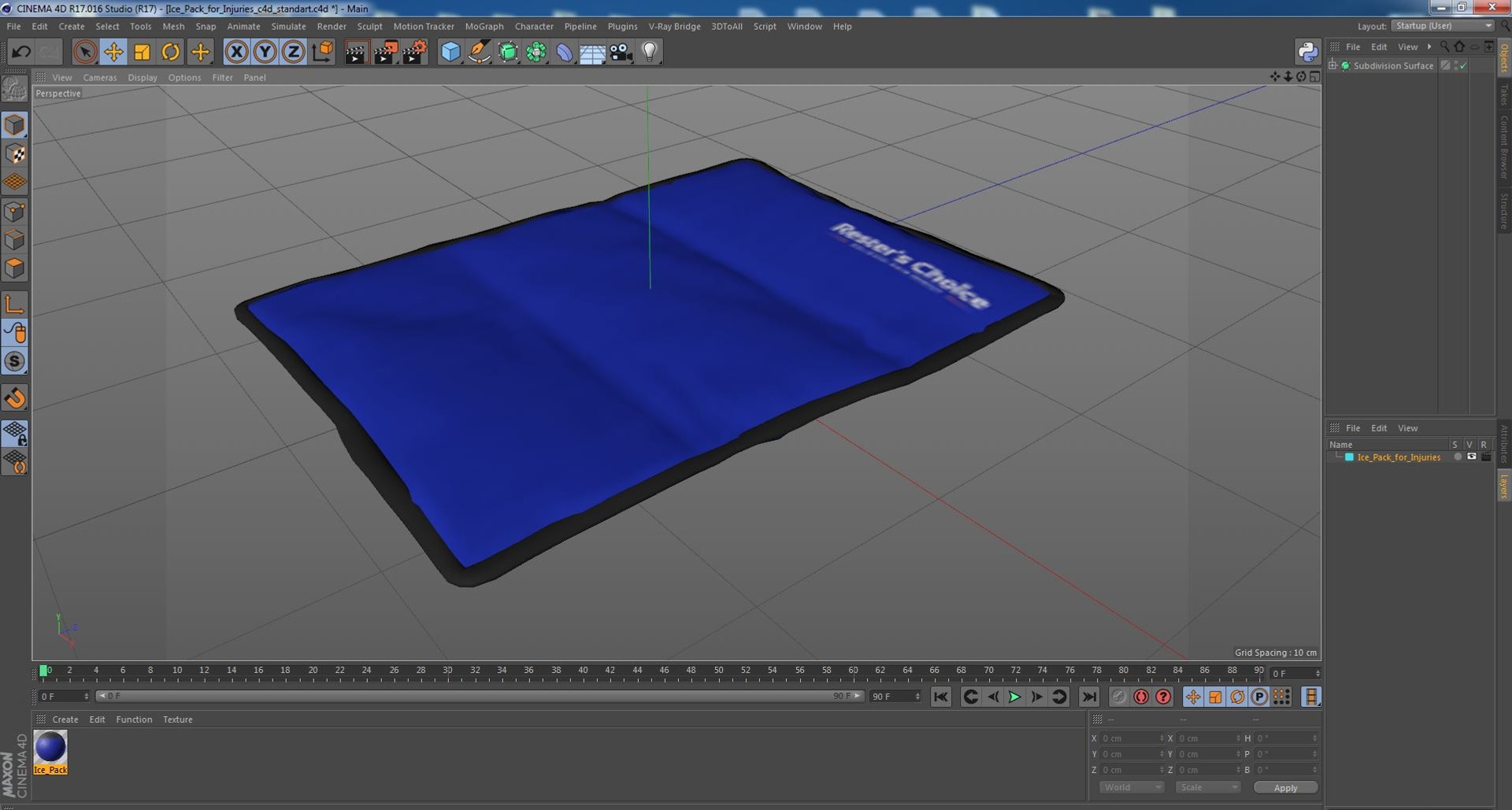 Ice Pack For Injuries 3D Model - TurboSquid 2161275