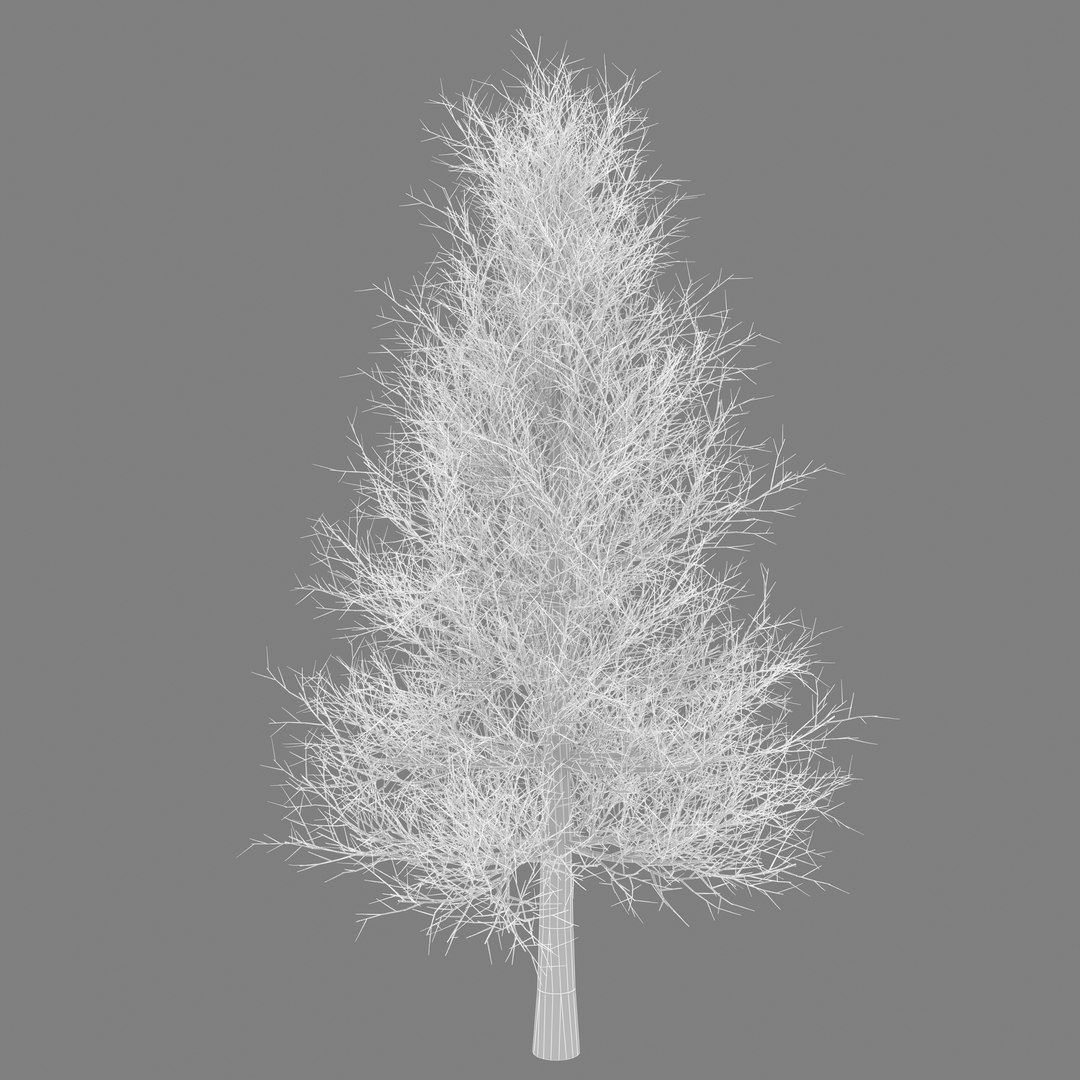 3d Snow Tree Model