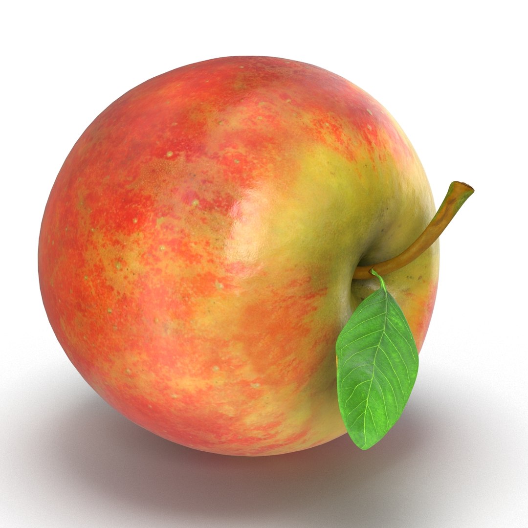 apple fruit 3d obj