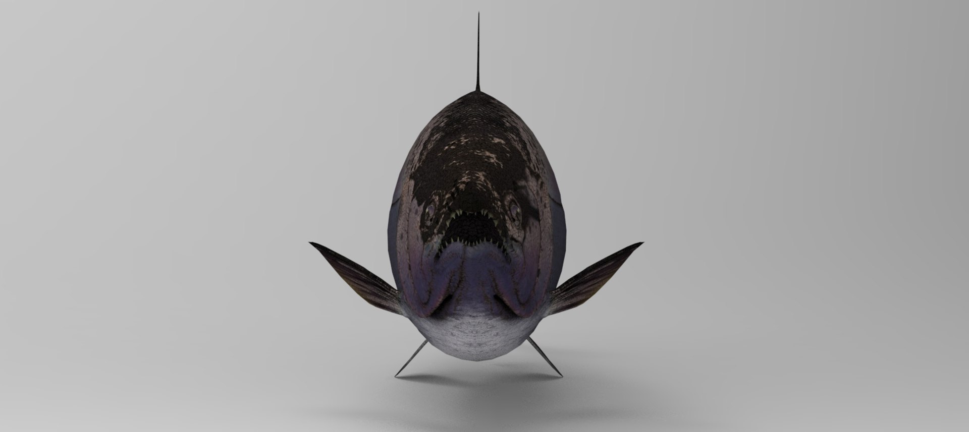 3D Model Salmon - TurboSquid 2200536