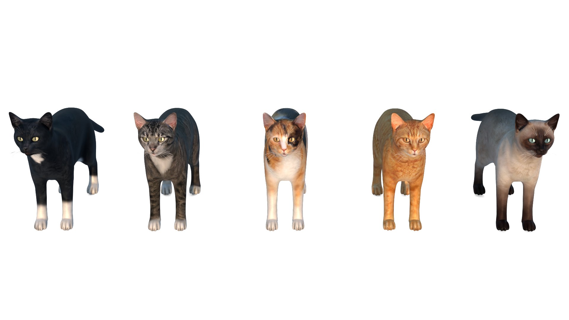 Low-poly Cats Big Collection 3D Model - TurboSquid 2223106