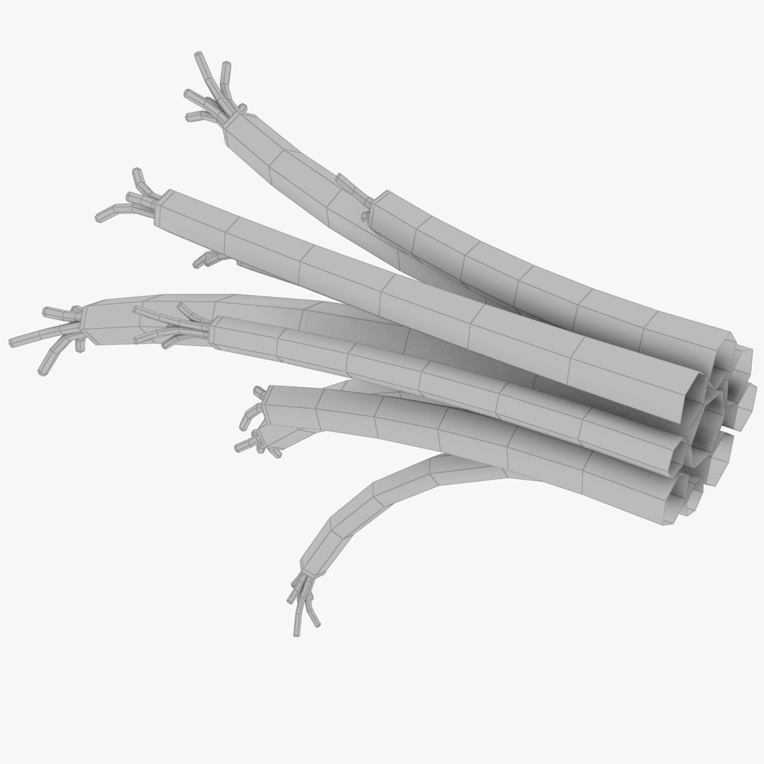 Wire Cable 3D - TurboSquid 1352716