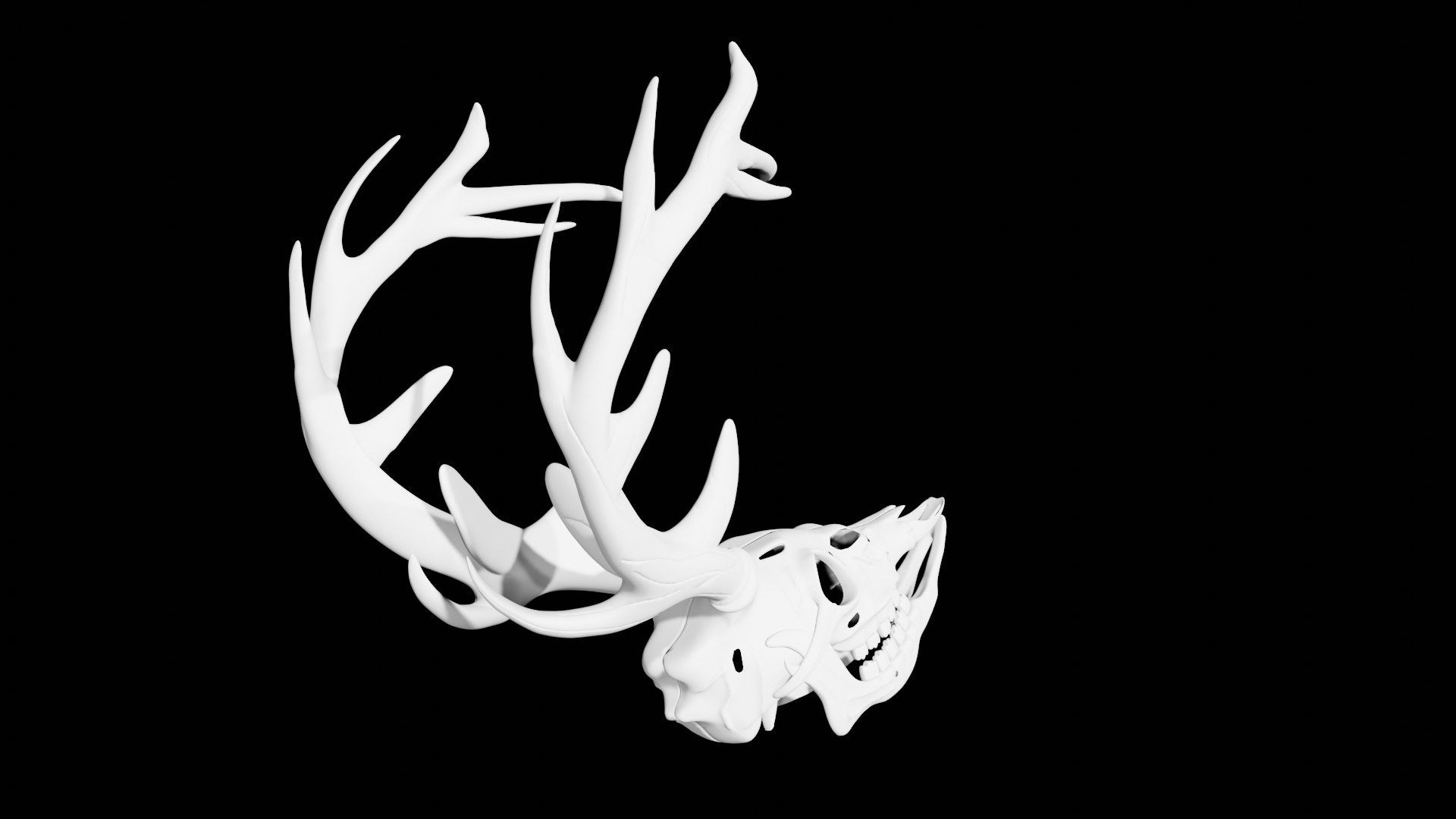 Deer Skull 3D Model - TurboSquid 1828190