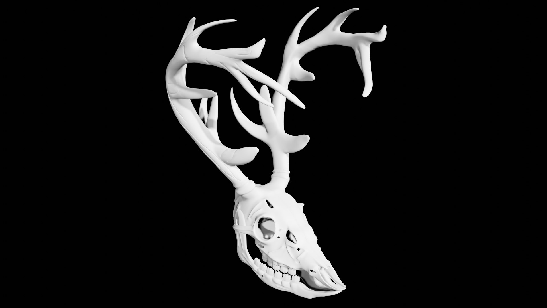 Deer Skull 3D Model - TurboSquid 1828190