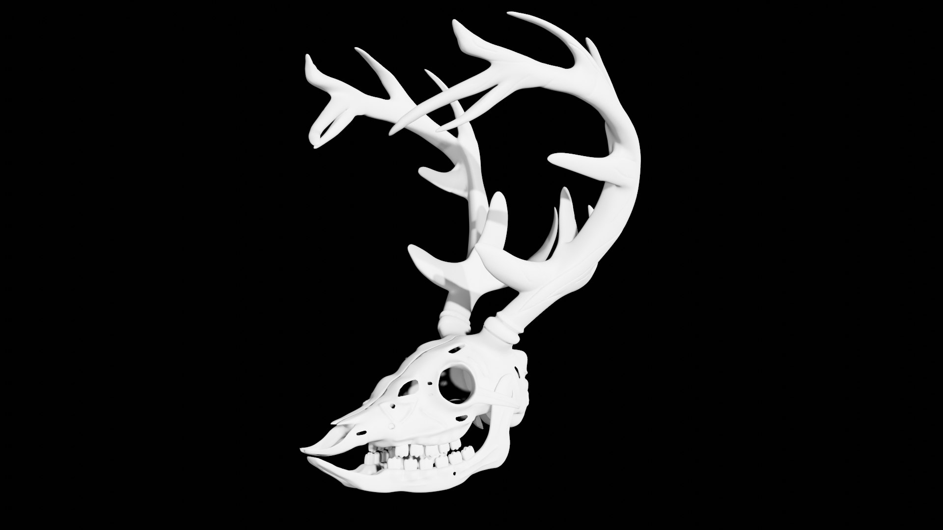 Deer Skull 3D Model - TurboSquid 1828190