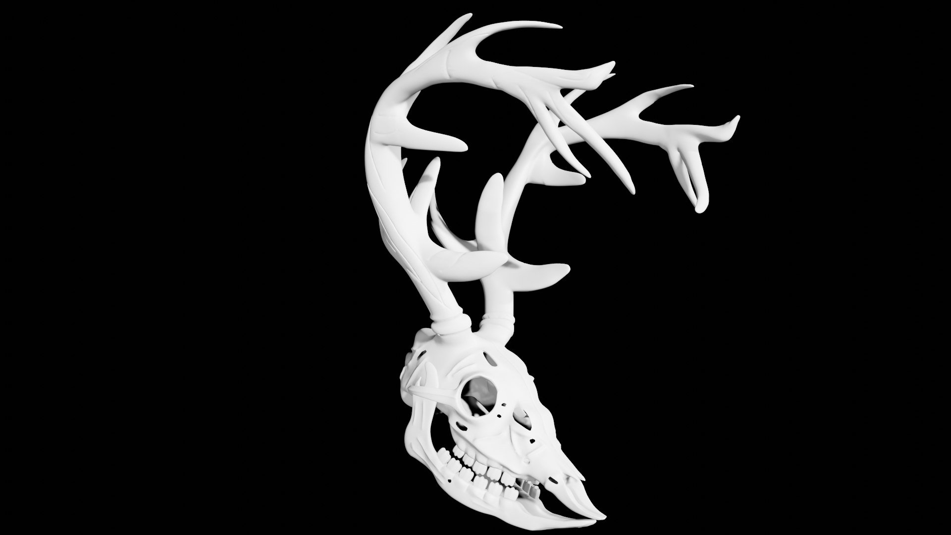Deer Skull 3D Model - TurboSquid 1828190