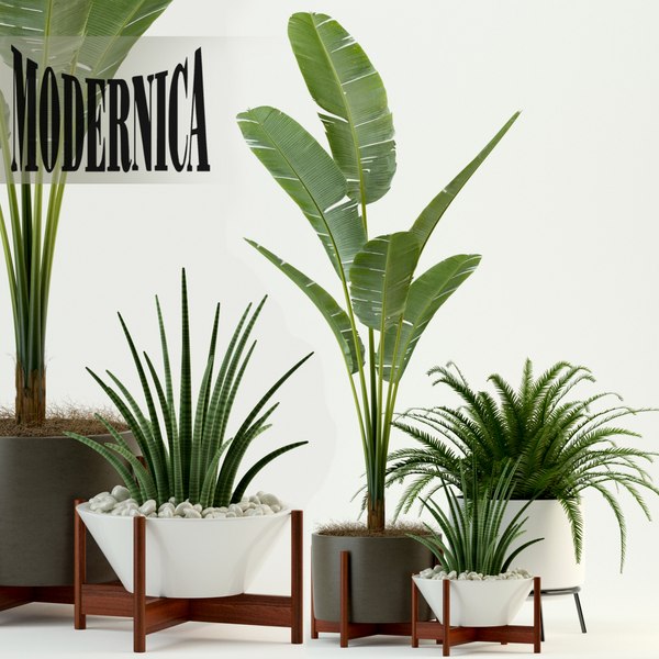 Modernica Furniture 3D Models for Download | TurboSquid