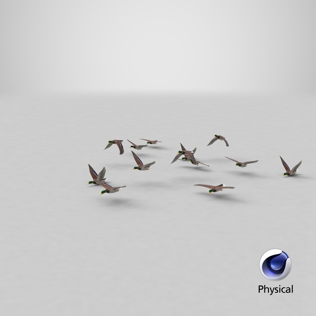 3D small flock ducks flying - TurboSquid 1312229