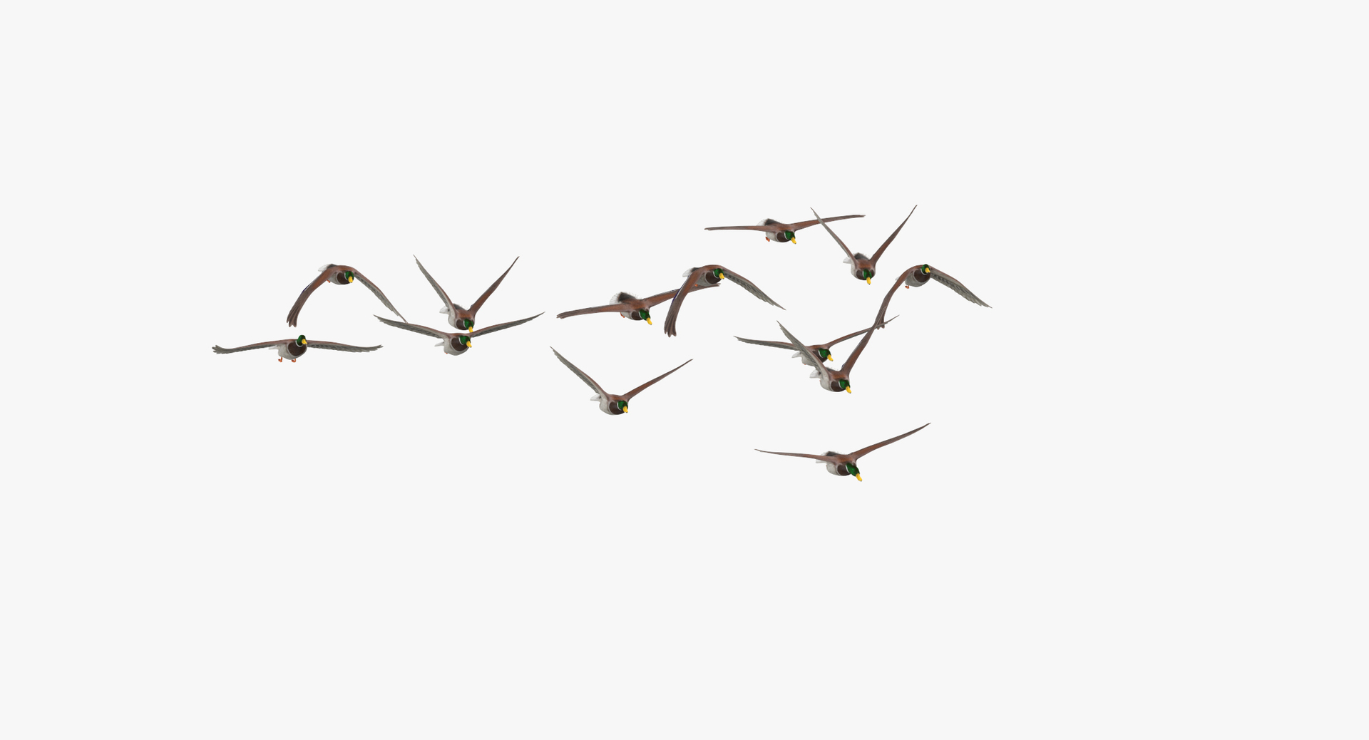 3D Small Flock Ducks Flying - TurboSquid 1312229