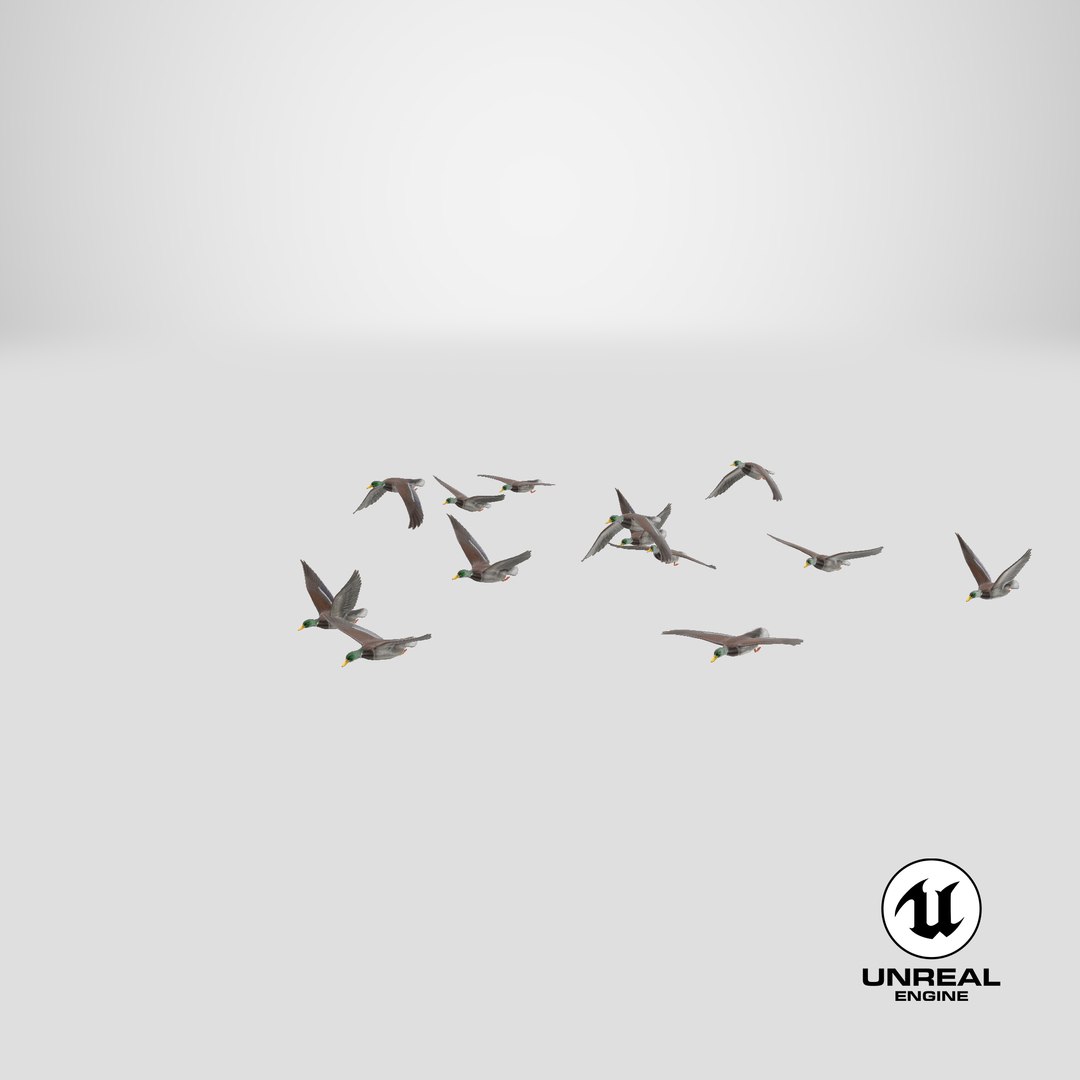 3D small flock ducks flying - TurboSquid 1312229
