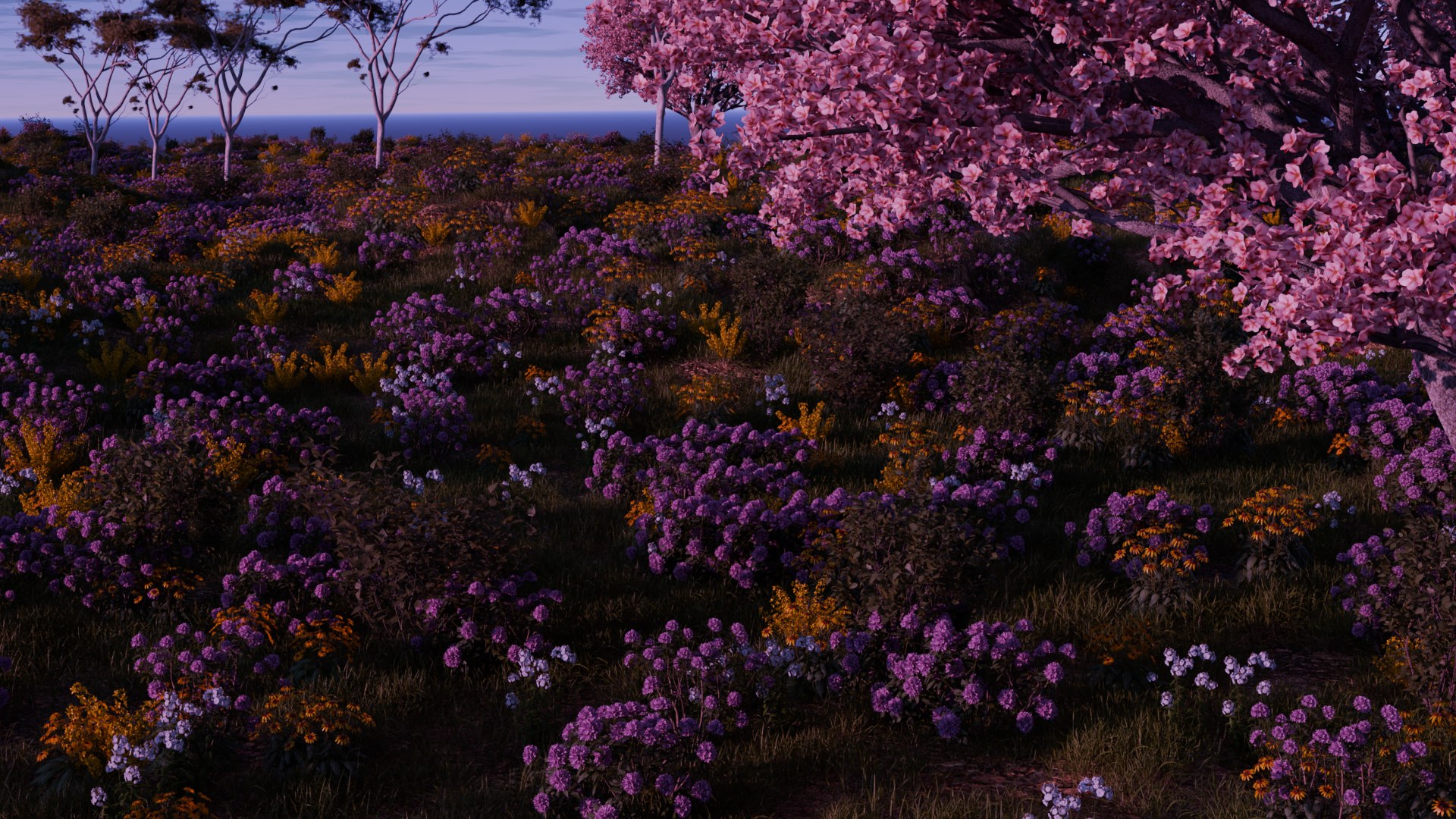 3D Model Flower Field - TurboSquid 2204507