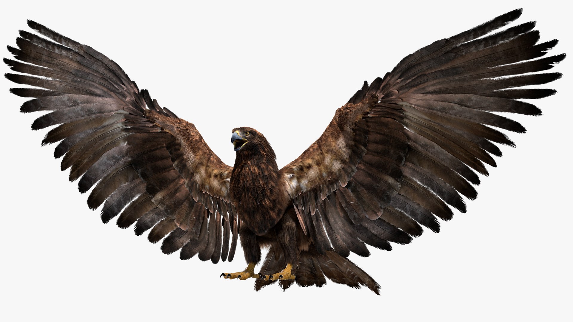 Realistic Golden Eagle Rigged 3D Model - TurboSquid 1511943