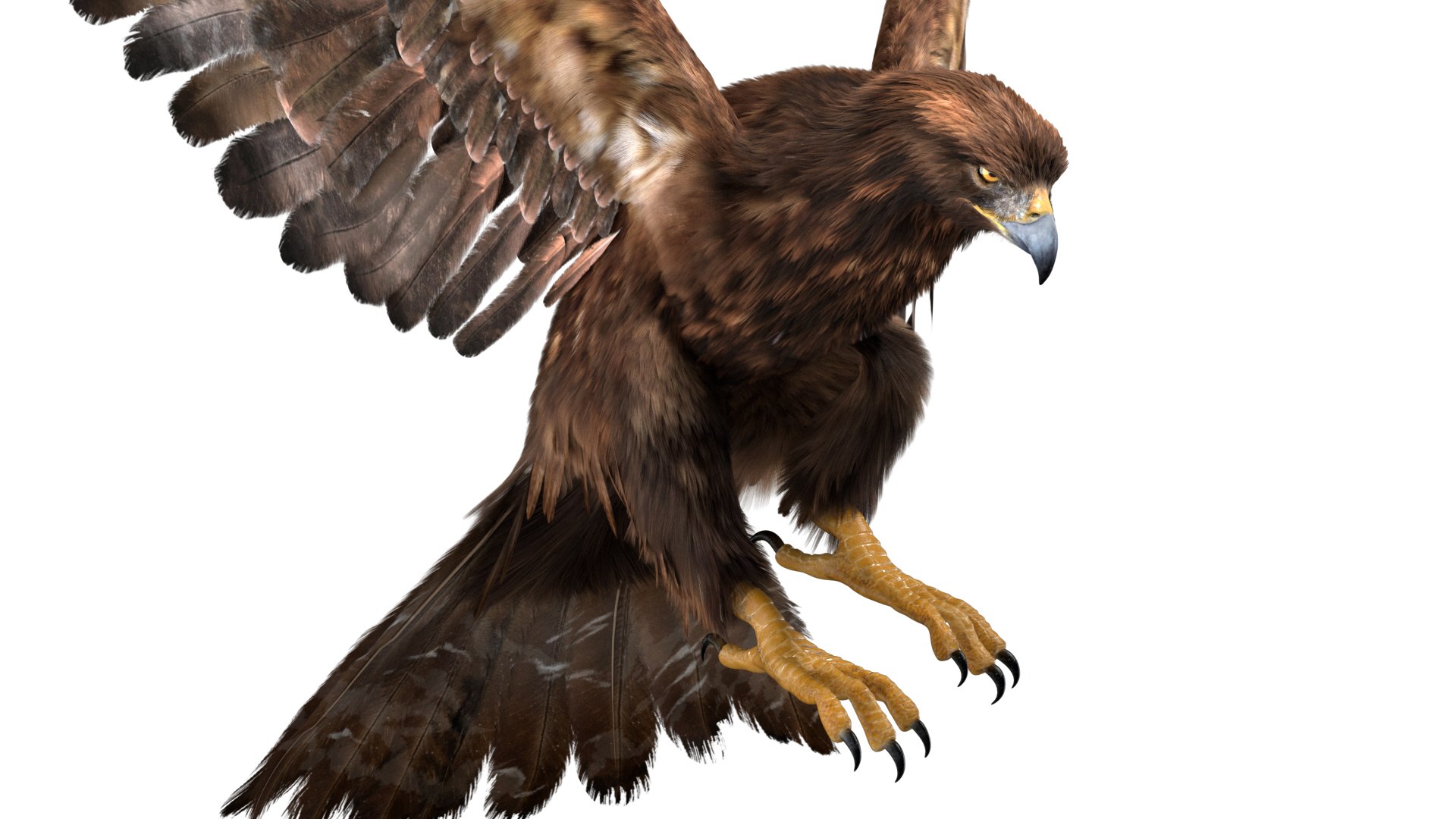Realistic Golden Eagle Rigged 3D Model - TurboSquid 1511943