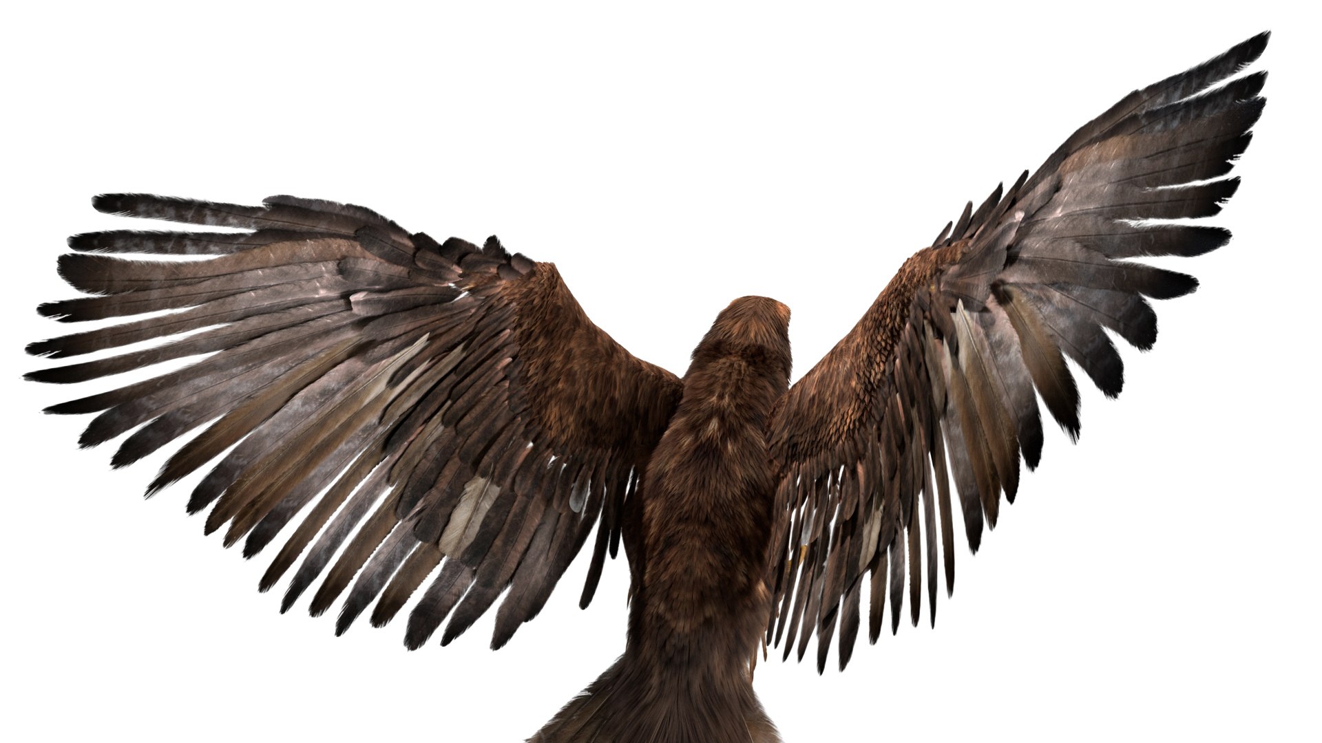 Realistic golden eagle rigged 3D model - TurboSquid 1511943