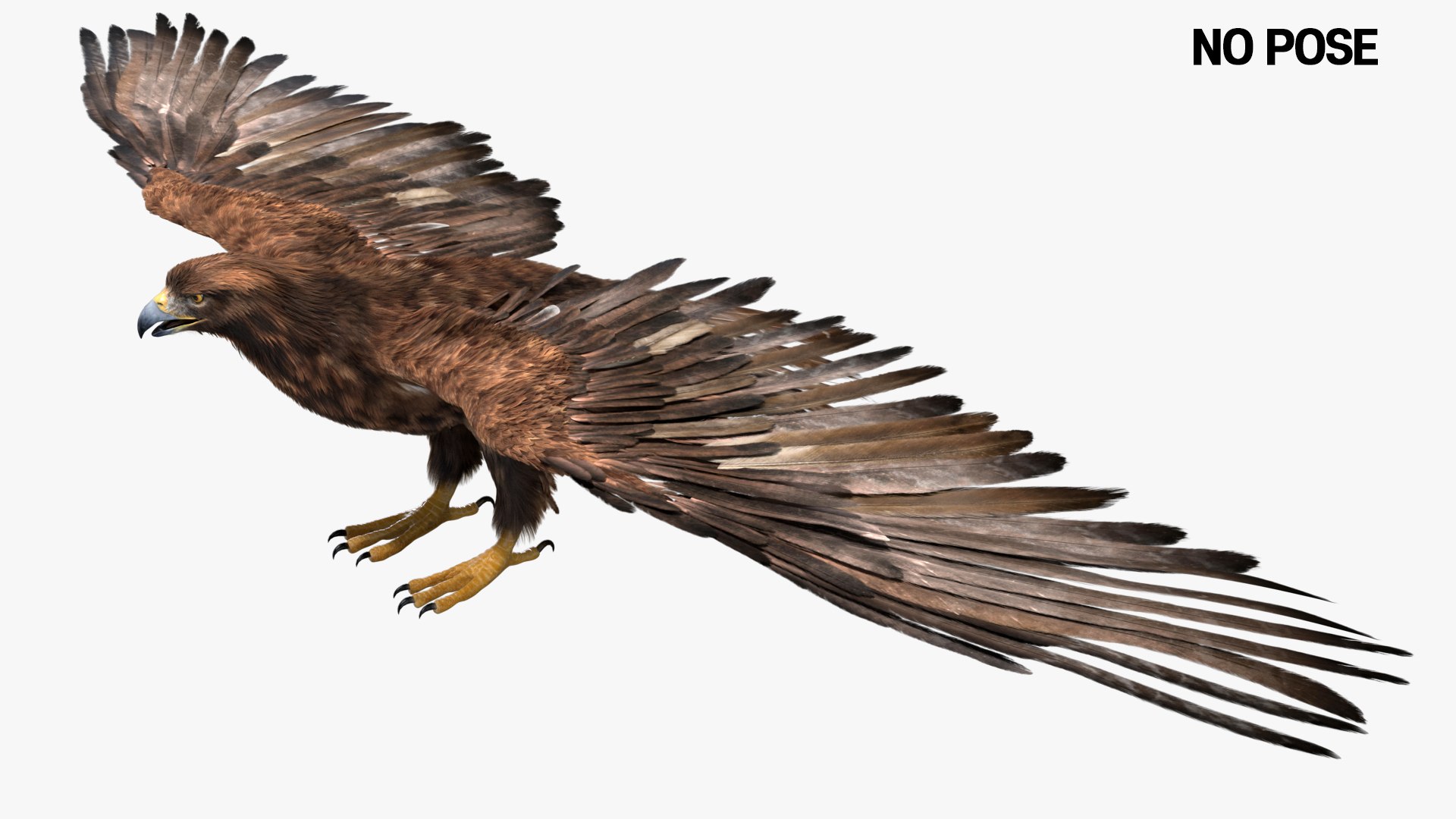 Realistic Golden Eagle Rigged 3D Model - TurboSquid 1511943