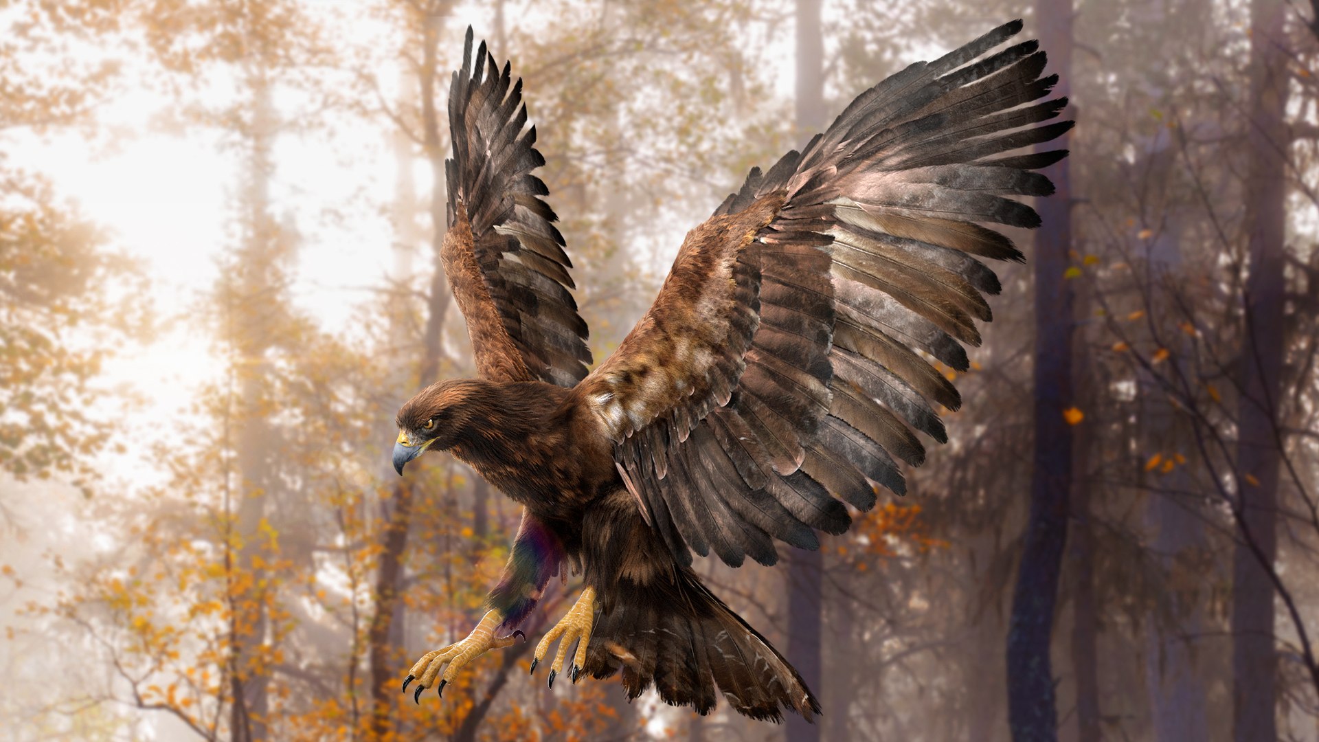 Realistic golden eagle rigged 3D model - TurboSquid 1511943