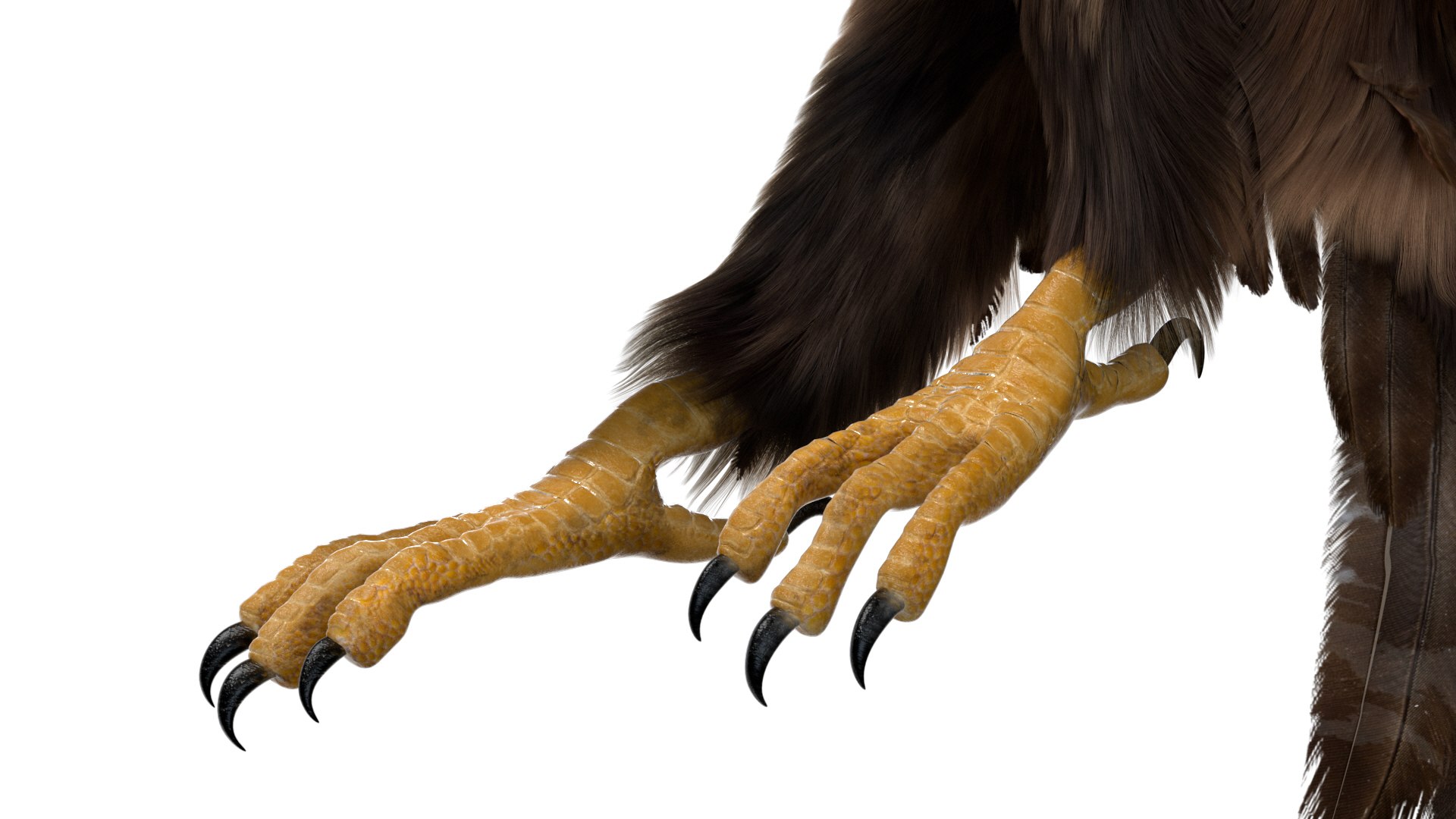 Realistic golden eagle rigged 3D model - TurboSquid 1511943