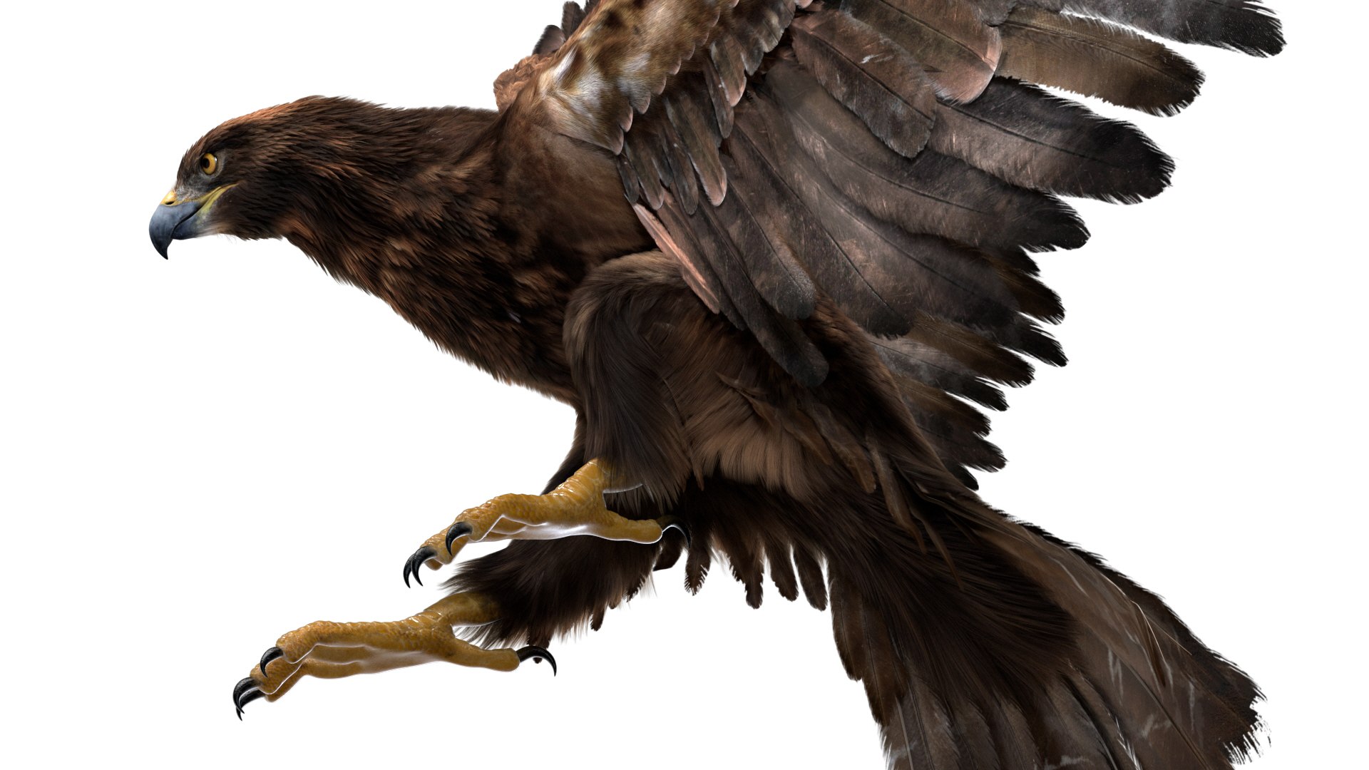 Realistic golden eagle rigged 3D model - TurboSquid 1511943
