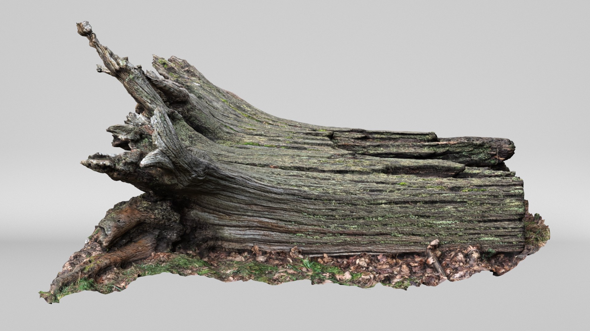 3D 8K Split Trunk Model - TurboSquid 2536789