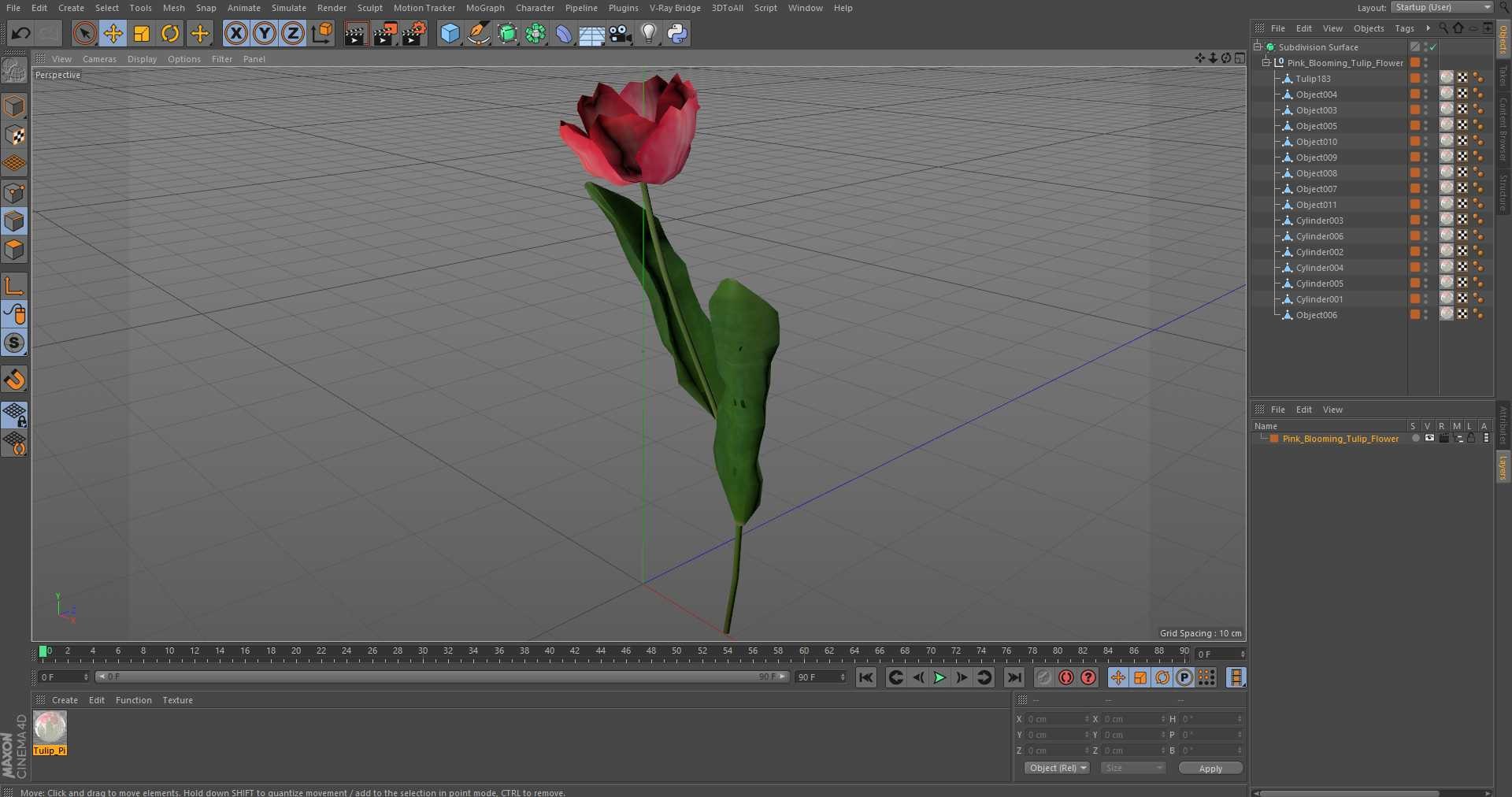 3D Pink Blooming Tulip Flower - TurboSquid 2188778