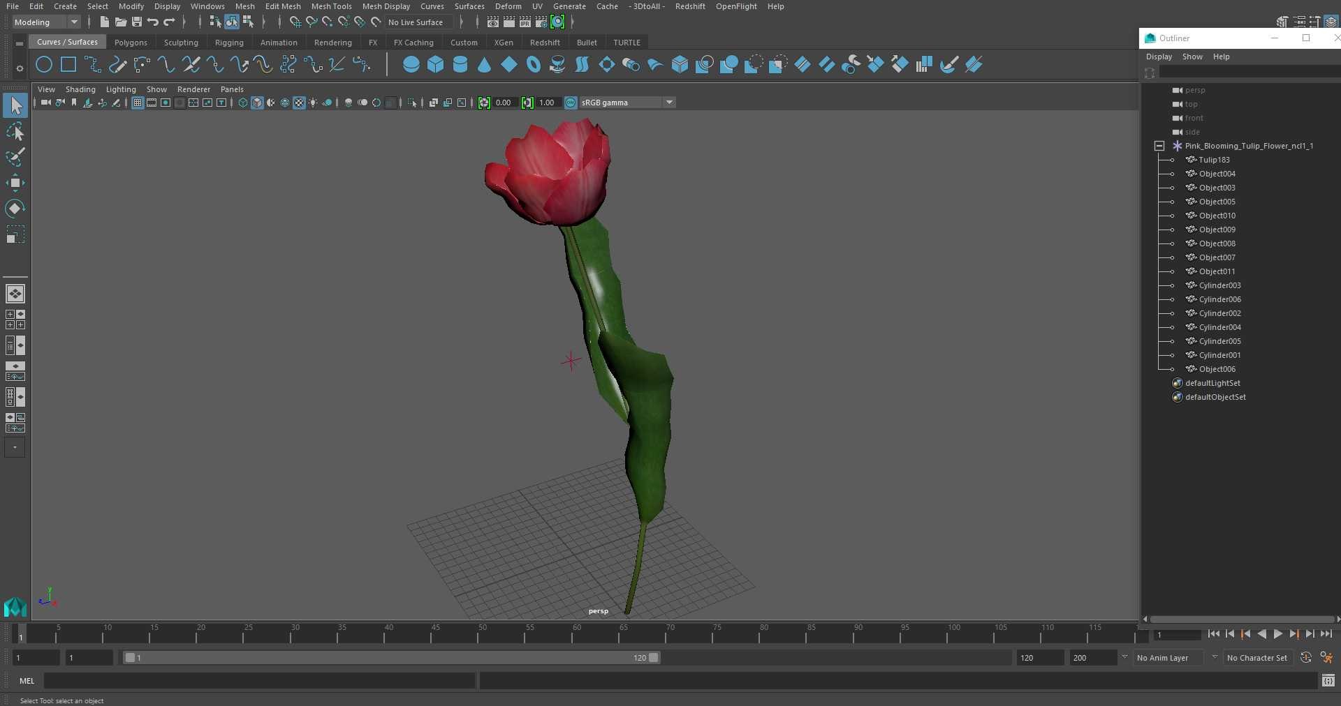 3D Pink Blooming Tulip Flower - TurboSquid 2188778
