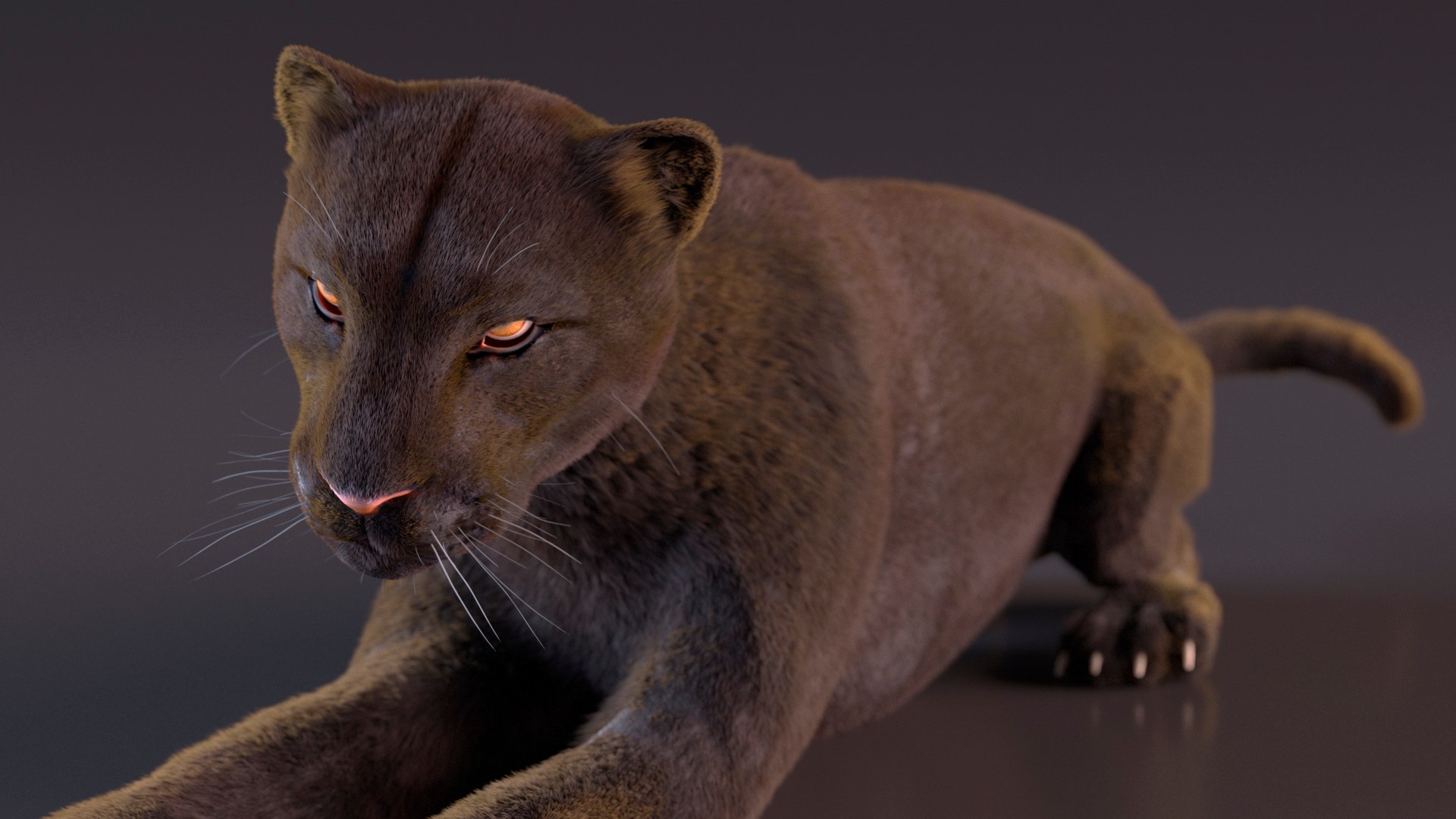 Big Cats Fur Collection 3D - TurboSquid 2303144