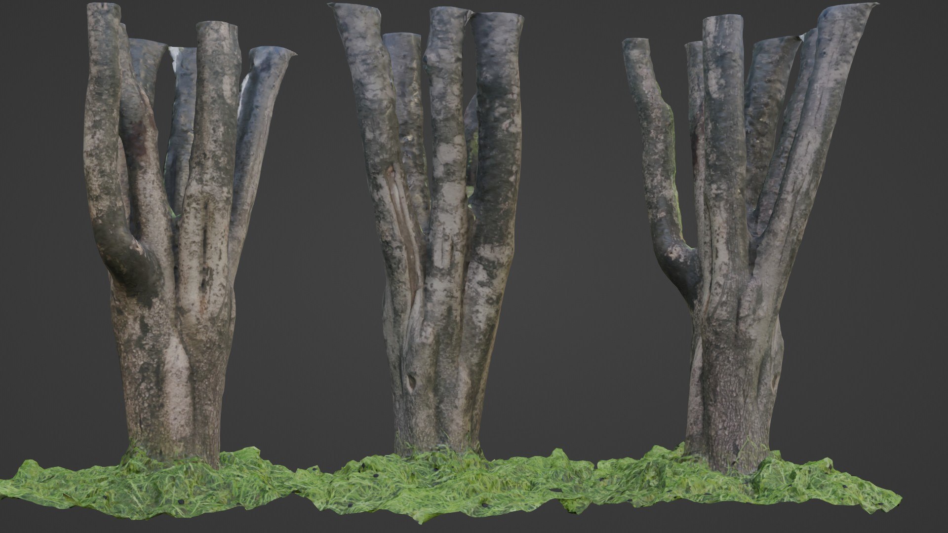 Tree 3D Model - TurboSquid 2329377
