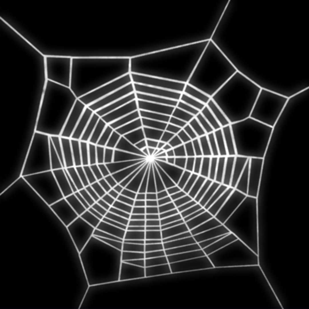 Spider Web 3d Model