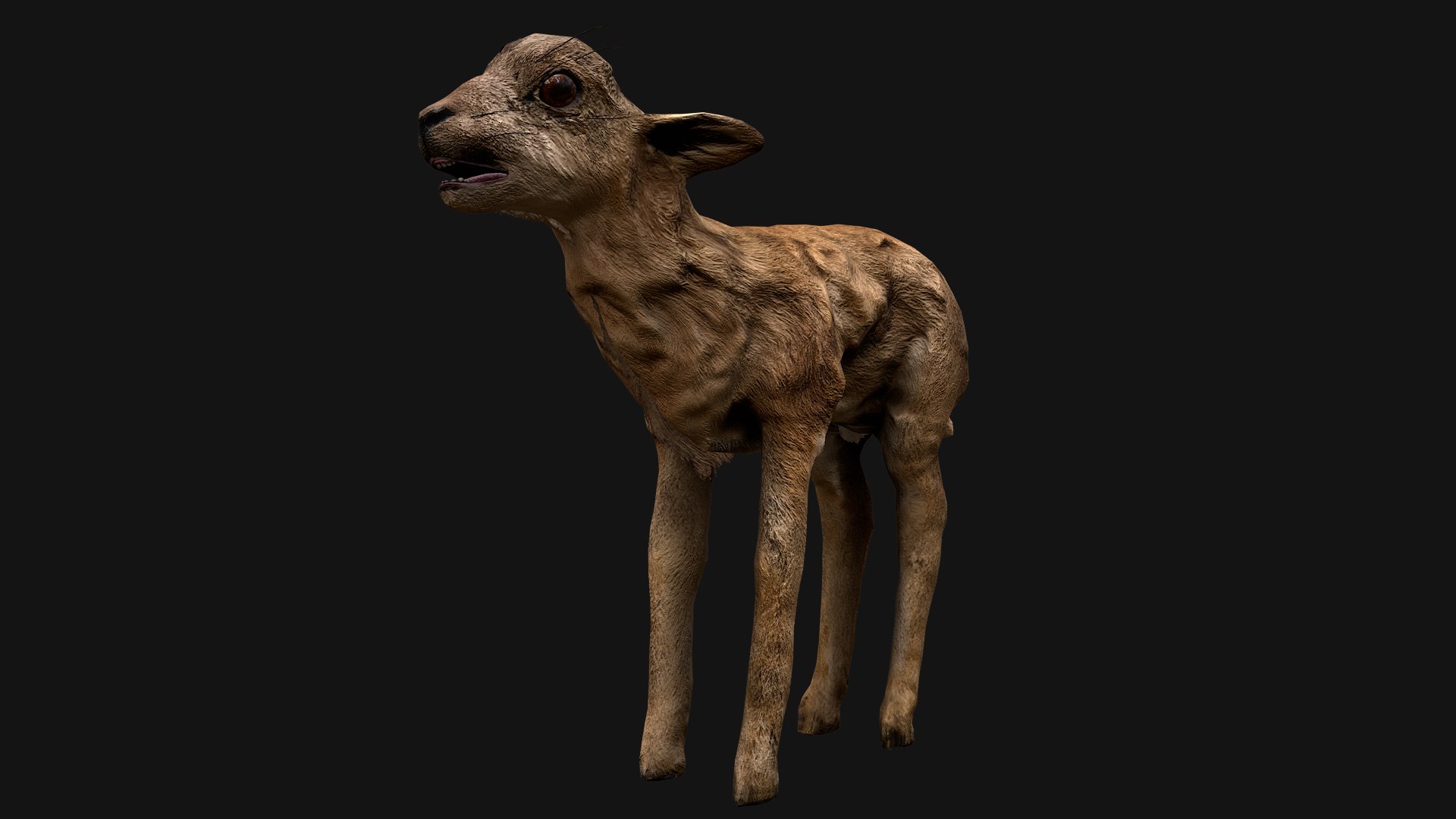 3D Fawn Deer - TurboSquid 2060583