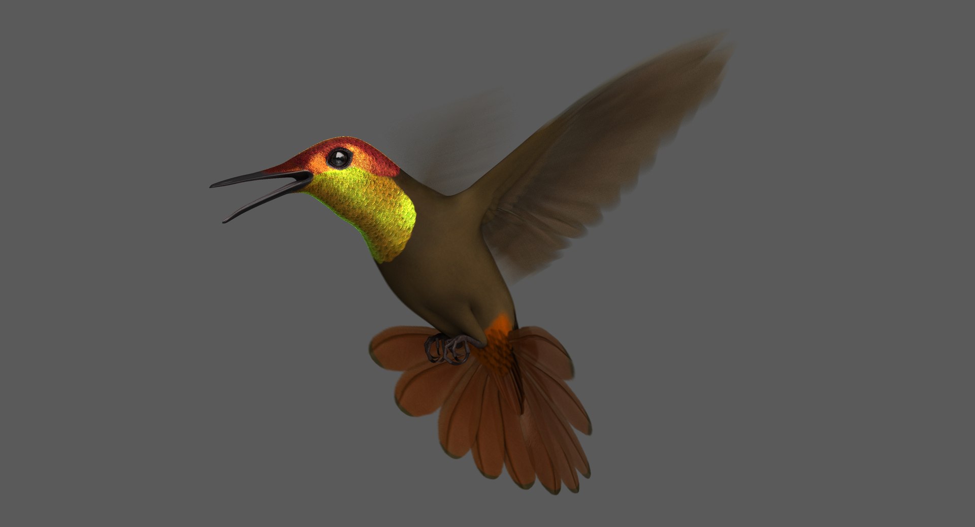 3D Ruby-topaz Hummingbird Animation Ruby Model - TurboSquid 1454756