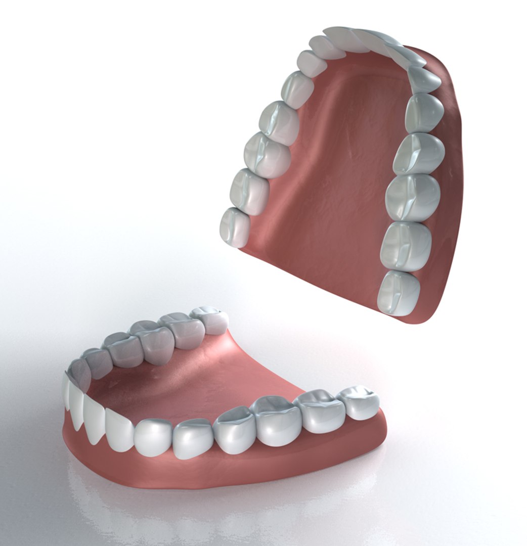 3d Sets Human Teeth
