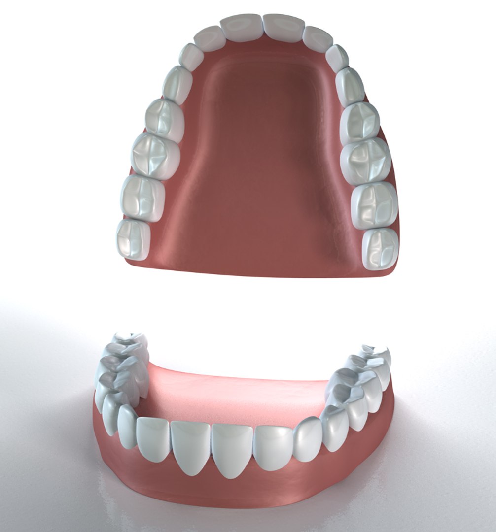3d Sets Human Teeth