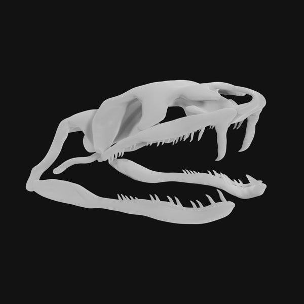 Rattle Snake Skull 3D 모델 - TurboSquid 1990997