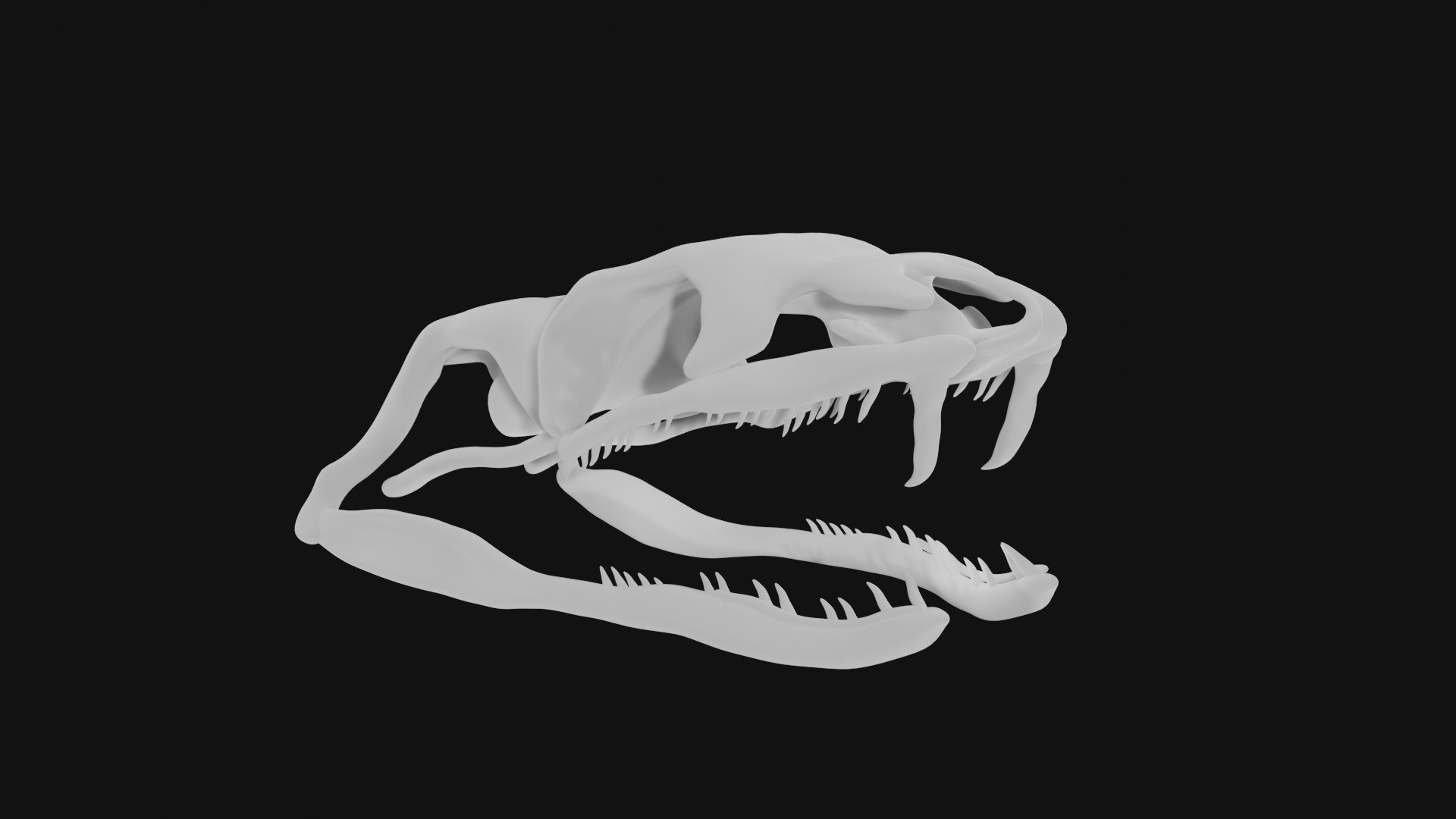 3D Rattle Snake Skull - TurboSquid 1990997