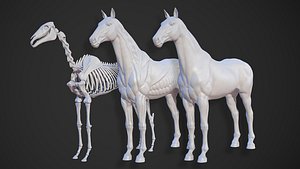 3D Fortnite Skin Models - Browse & Download Formats - TurboSquid