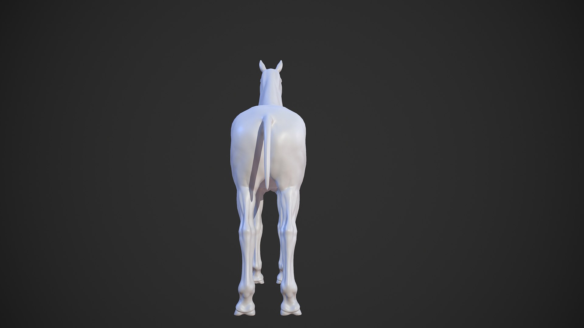 Animal Horse Anatomy Skin Model - TurboSquid 1582644
