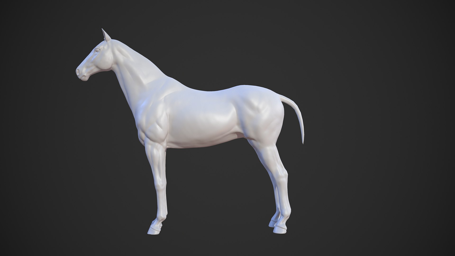 Animal Horse Anatomy Skin Model - TurboSquid 1582644