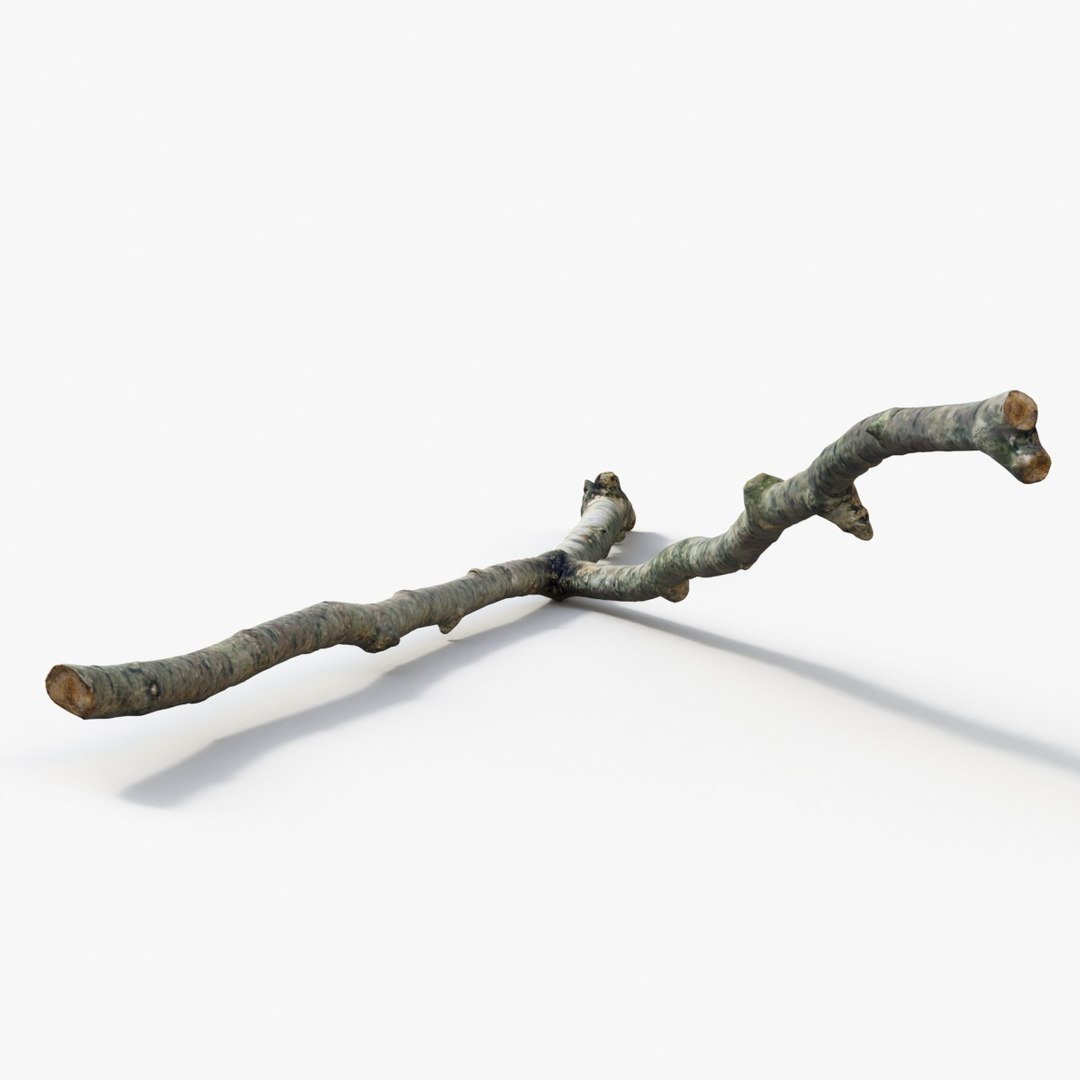 Realistic branch 02 3D model - TurboSquid 1217950