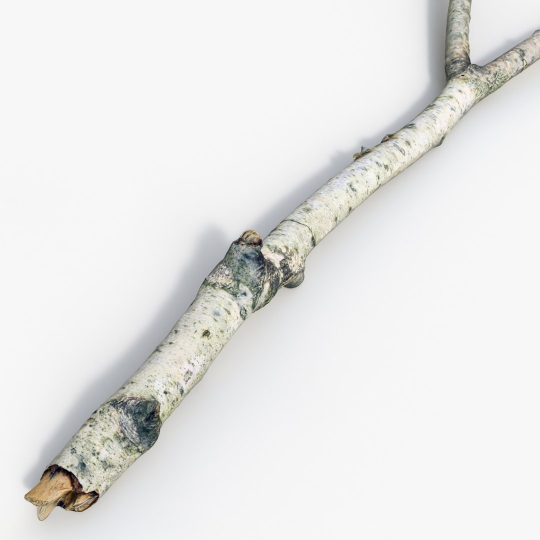 Realistic branch 02 3D model - TurboSquid 1217950