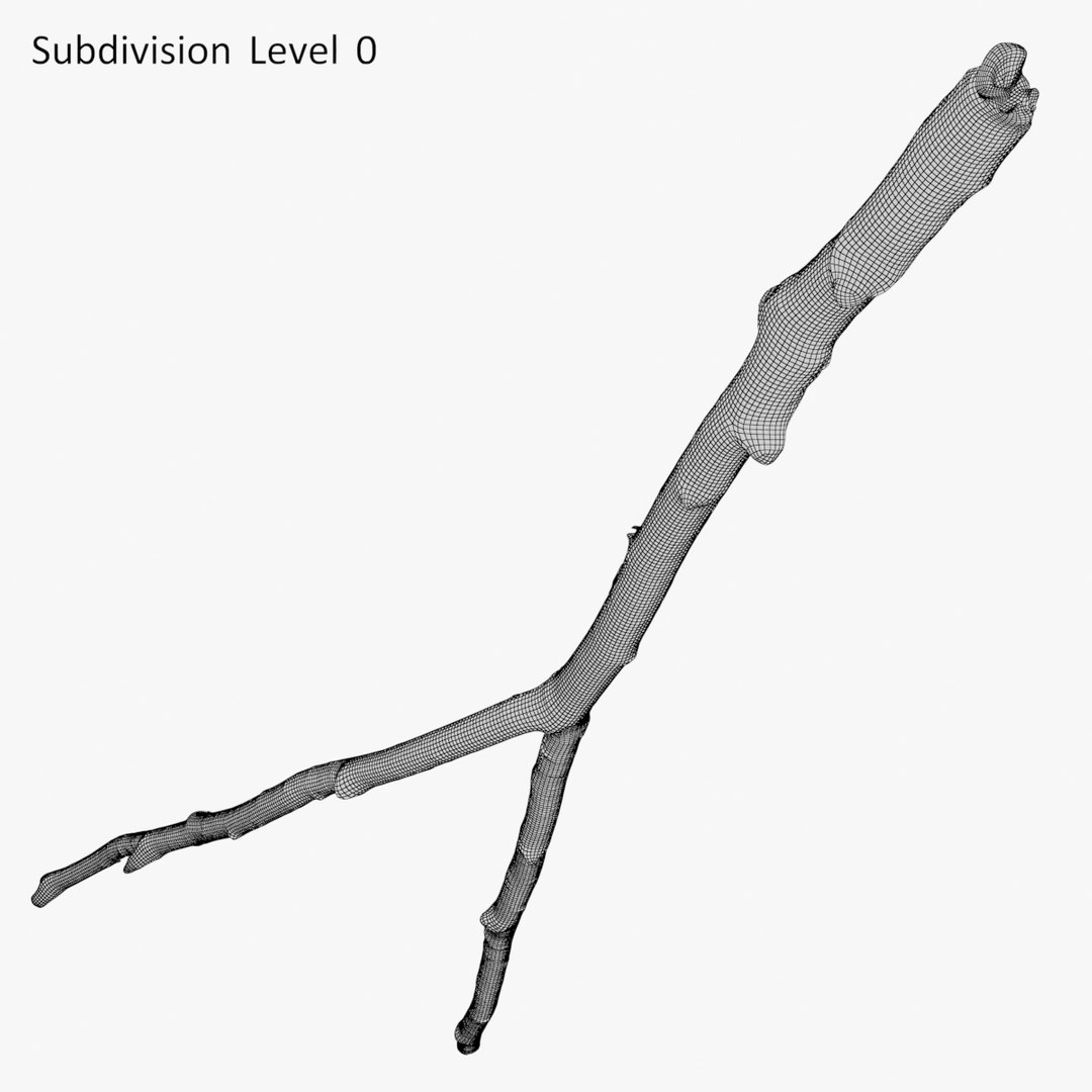 Realistic branch 02 3D model - TurboSquid 1217950
