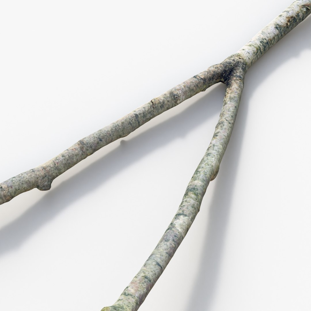 Realistic branch 02 3D model - TurboSquid 1217950