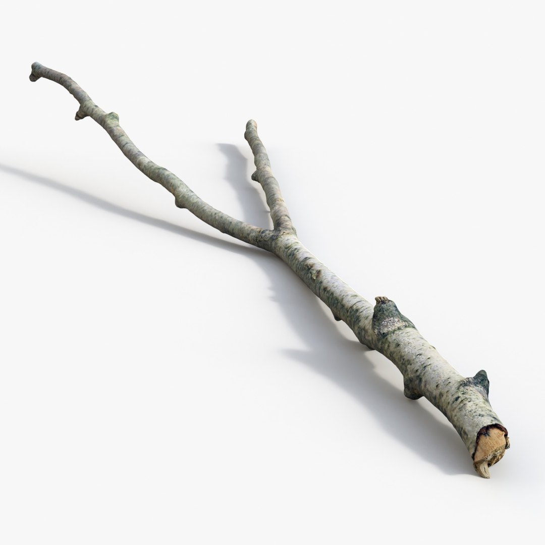 Realistic branch 02 3D model - TurboSquid 1217950