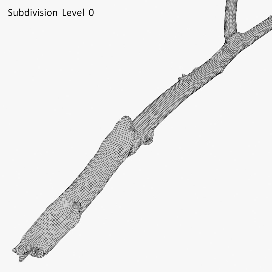 Realistic branch 02 3D model - TurboSquid 1217950