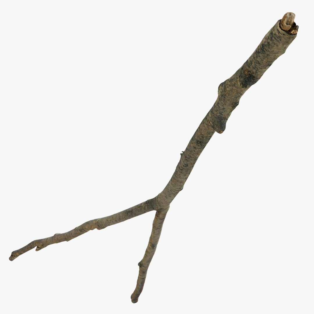 Realistic branch 02 3D model - TurboSquid 1217950