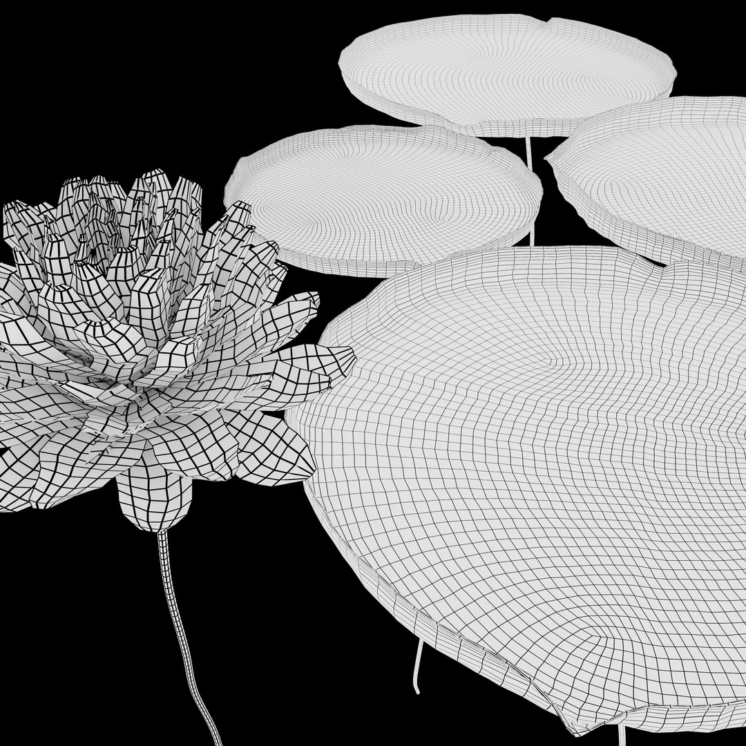 Victoria Water Lily 3D - TurboSquid 2042992