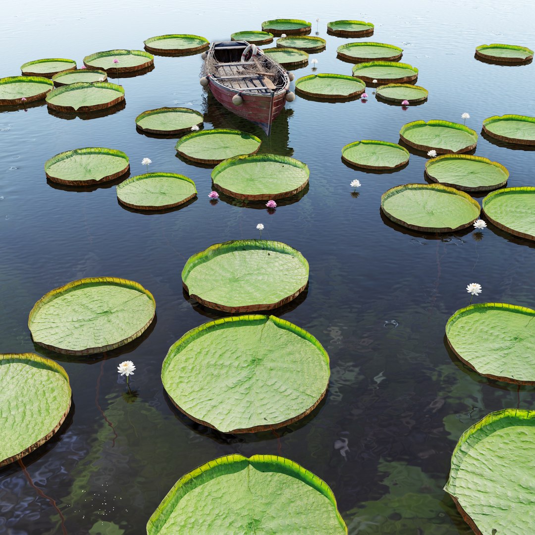 Victoria Water Lily 3D - TurboSquid 2042992